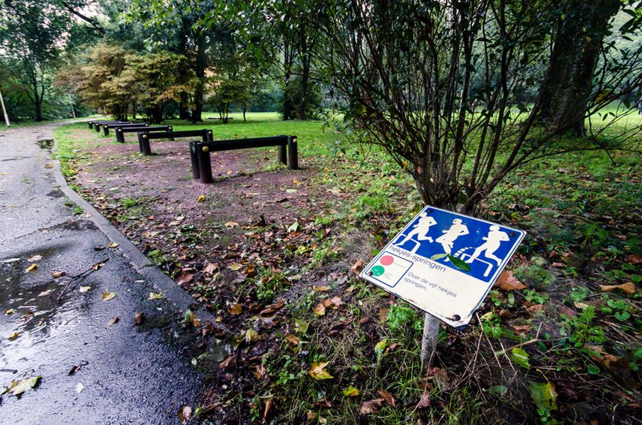 Terugkijken: Kansen voor leefbaarheid in de vernieuwing van de openbare ...