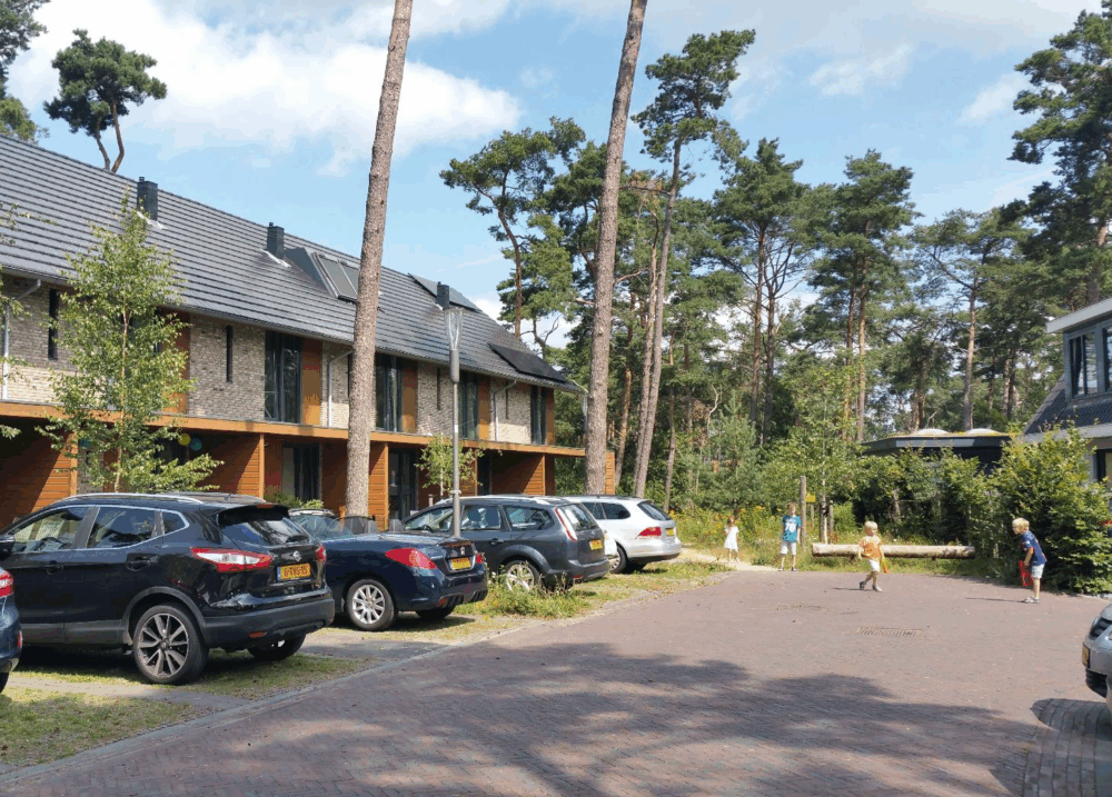 Vijftien jaar wijkontwikkeling in Kerkebosch zorgt voor een inclusieve ...